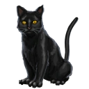 Black Cat | Dawn of the Dragons Wiki | Fandom