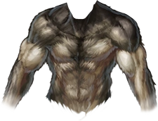 Werewolf Illusion Set | Dawn of the Dragons Wiki | Fandom