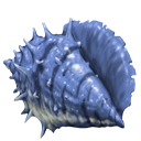 Blue Conch Shell | Dawn of the Dragons Wiki | Fandom