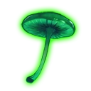 Green Mushroom | Dawn of the Dragons Wiki | Fandom