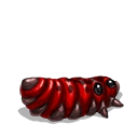 Red Larva | Dawn of the Dragons Wiki | Fandom
