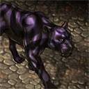 Krellan Shadowcat | Dawn of the Dragons Wiki | Fandom