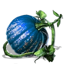 Blue Gourd | Dawn of the Dragons Wiki | Fandom