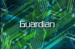 Guardian (SIGN) | .hack//Wiki | Fandom