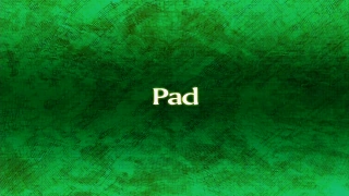 Pad | .hack//Wiki | Fandom
