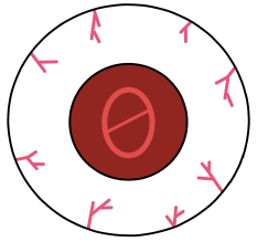 Johnny Turbo | DoubleClash Wiki | Fandom