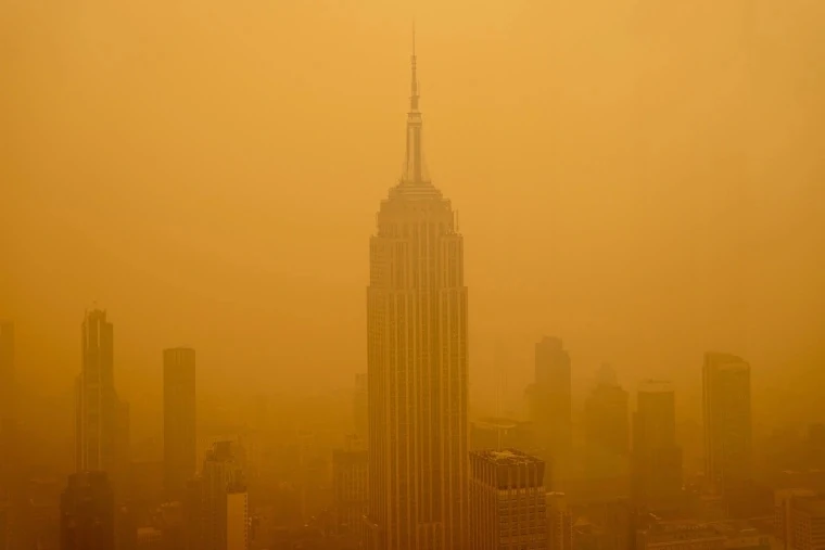 Mark Hazel | Double Heads Variety Hour Wiki | Fandom