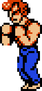 Williams | Double Dragon Wiki | Fandom