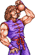 Cheng-Fu | Double Dragon Wiki | Fandom