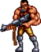Roper (Battletoads/Double Dragon) | Double Dragon Wiki | Fandom