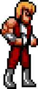 Jimmy Lee | Double Dragon Wiki | Fandom