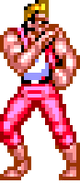 Jimmy Lee | Double Dragon Wiki | Fandom