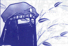 Yagyu Ranzou | Double Dragon Wiki | Fandom