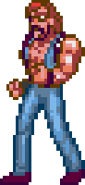Roper | Double Dragon Wiki | Fandom