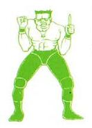 Roper | Double Dragon Wiki | Fandom