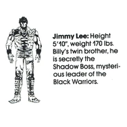 Jimmy Lee | Double Dragon Wiki | Fandom