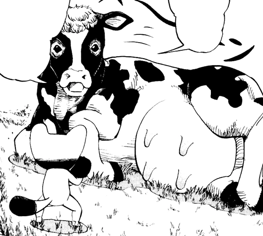 Cow-san | Animal Land Wiki | Fandom