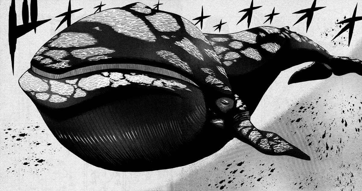 Whale | Animal Land Wiki | Fandom