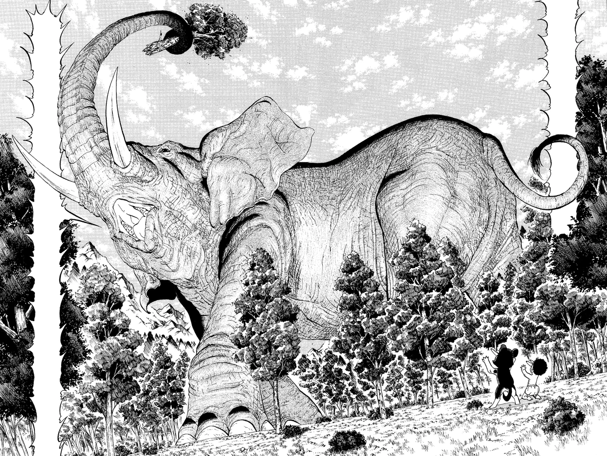 Elephant | Animal Land Wiki | Fandom