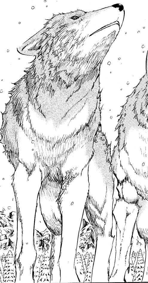 Lobo | Animal Land Wiki | Fandom