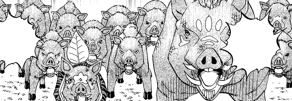 Boar | Animal Land Wiki | Fandom