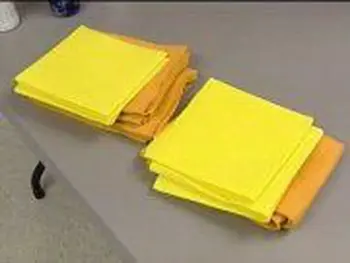 Zorbeez | The Doug-hole Wiki | Fandom