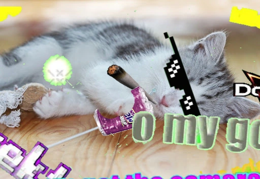 Parkzer (Cat) | The Doug-hole Wiki | Fandom