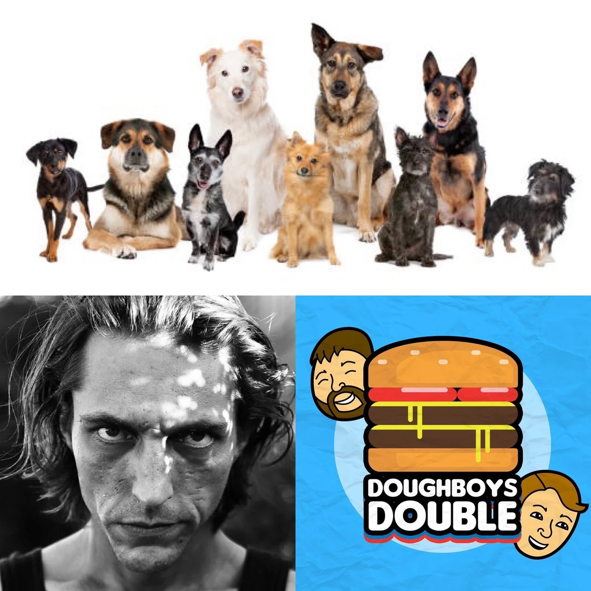 Dogvengers Awooossemble with Jared Bankens | Doughboys Wikia | Fandom