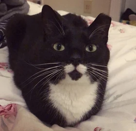 May-ow: Digby with Libby Watson | Doughboys Wikia | Fandom