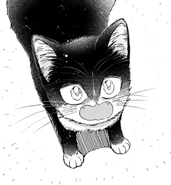 Hachi | My Roommate is a Cat Wiki | Fandom