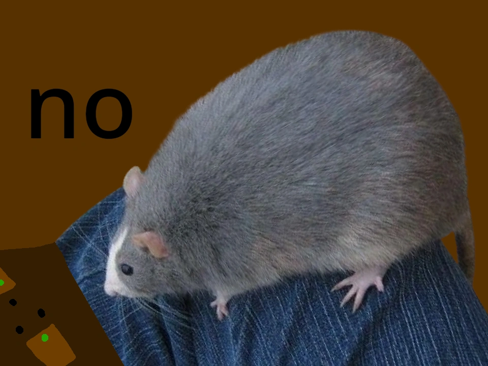 Fat Rat | DoveMoon Wiki | Fandom