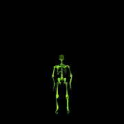 Physiques | Downshotvr Wiki | Fandom