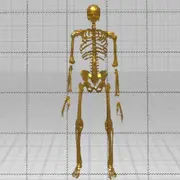 Physiques | Downshotvr Wiki | Fandom