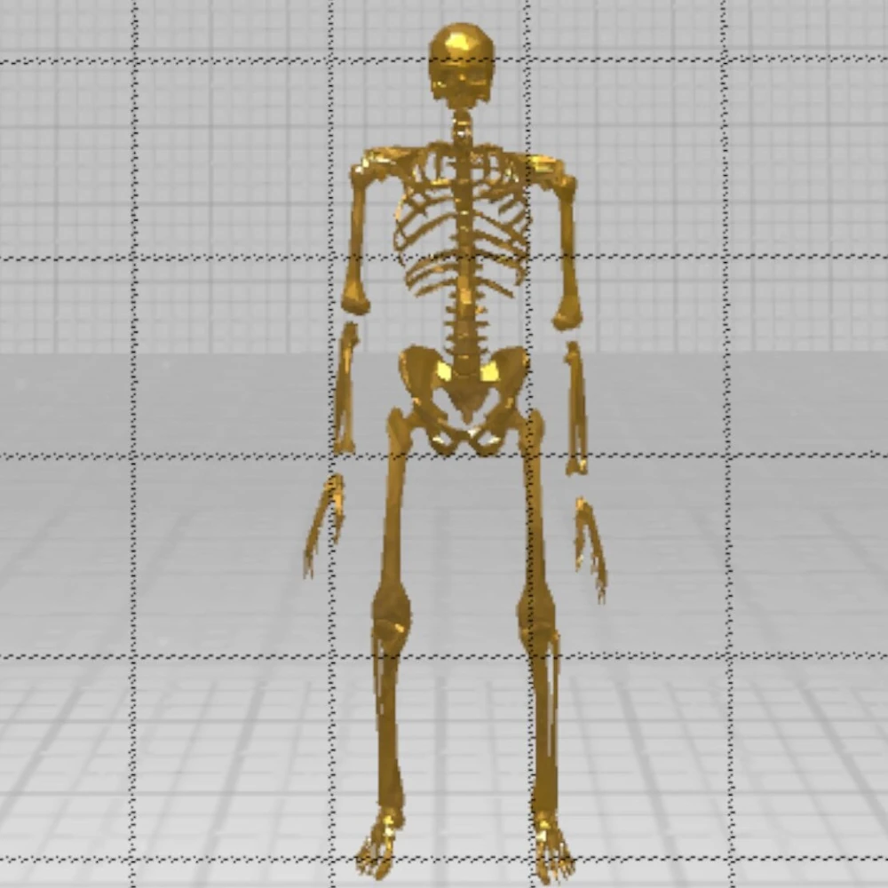 Physiques | Downshotvr Wiki | Fandom