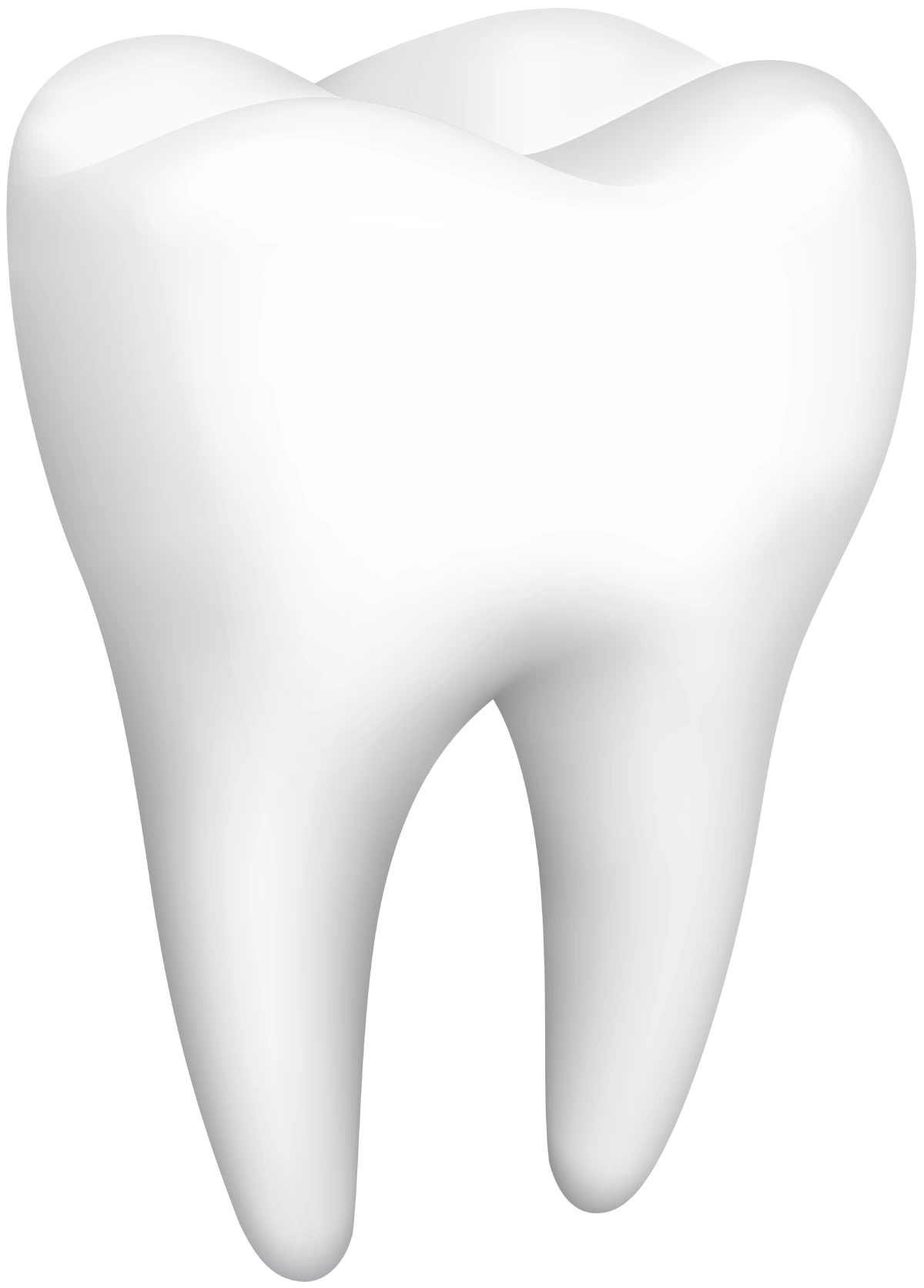 Tooth person | Doxx Wiki | Fandom