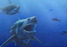 Megalodon | Mysterious Quest Wiki | Fandom