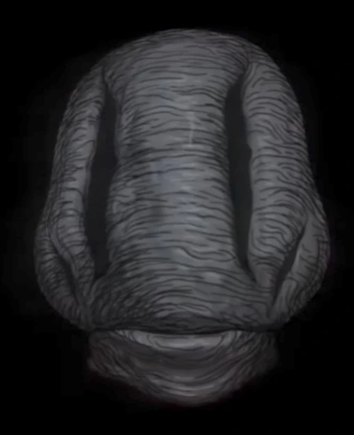 SCP-5056 (The Constant Companions) | Dr Bob SCP Wiki | Fandom