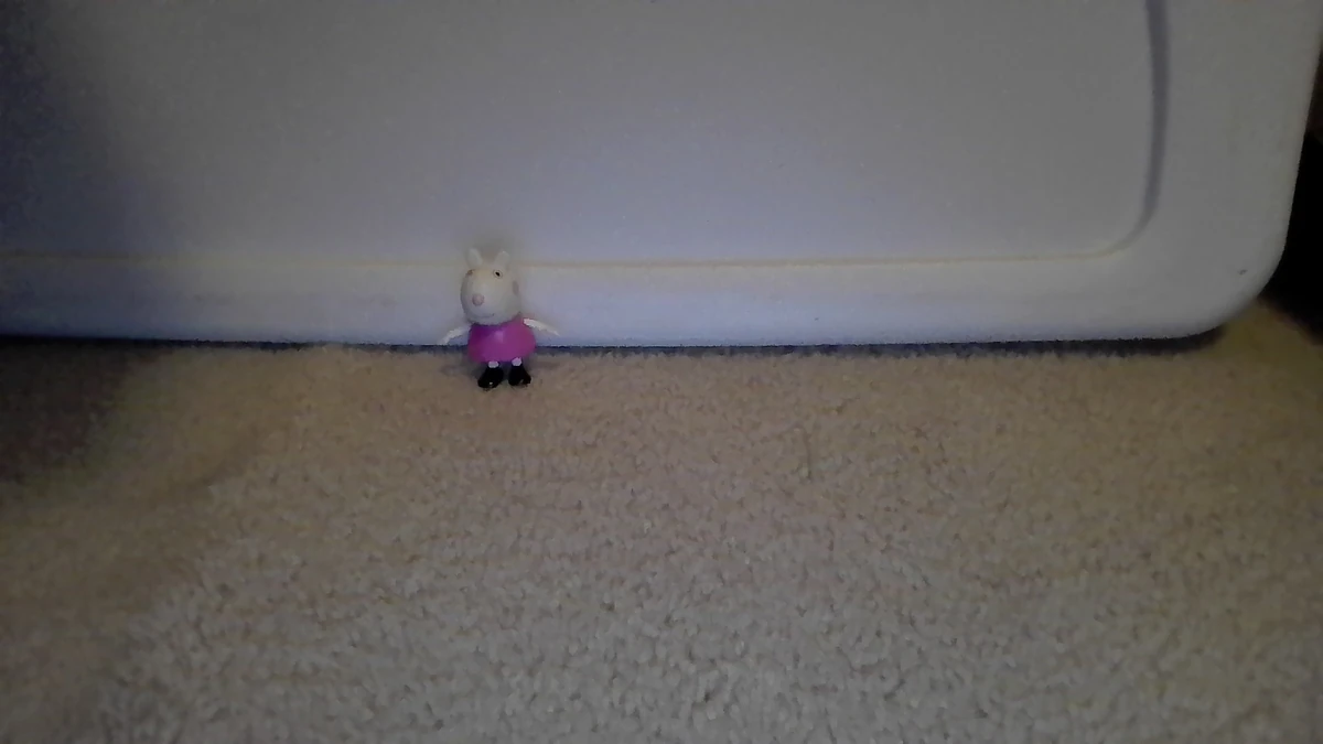 Suzie Sheep | Dr Left Hand Wiki | Fandom