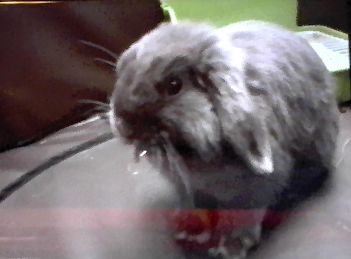 Jewel | Dr Left Hand Wiki | Fandom