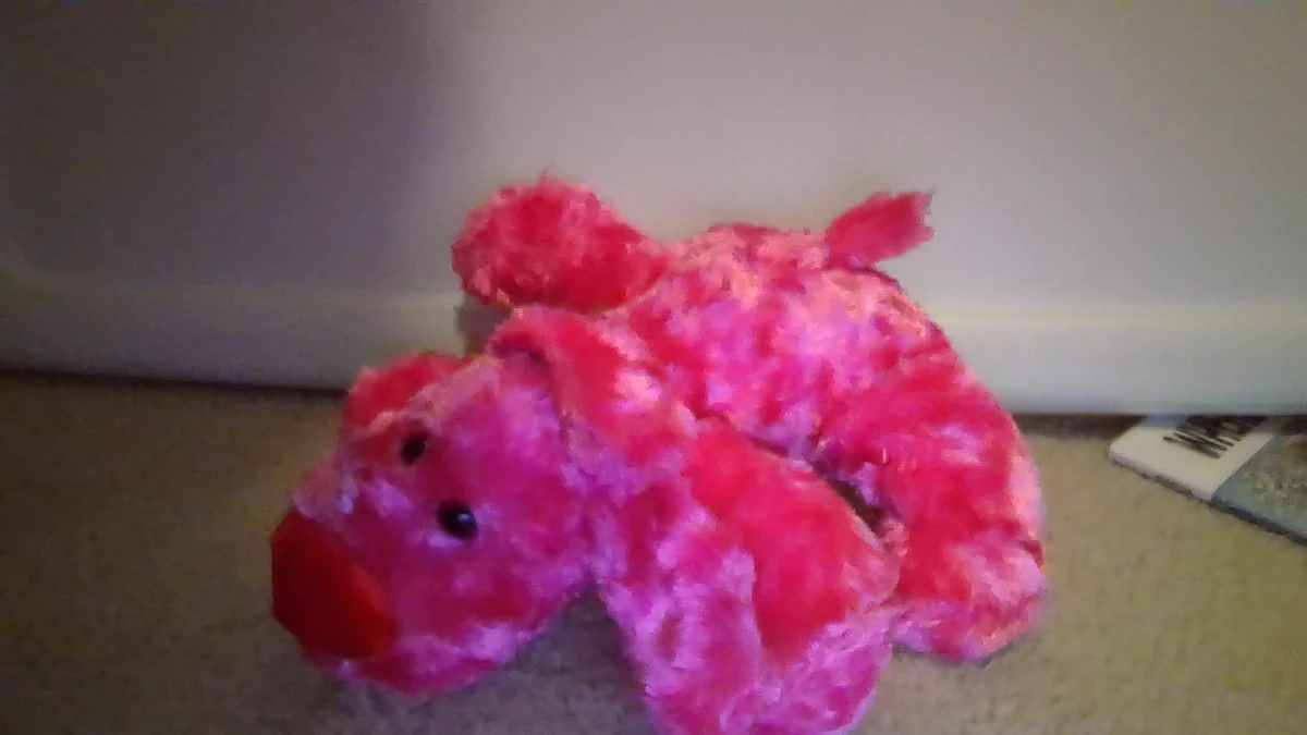 The Pink Dog | Dr Left Hand Wiki | Fandom