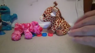 Poker Wizzard (Song) | Dr Left Hand Wiki | Fandom