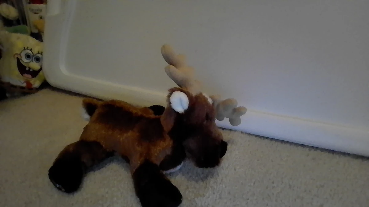 Moose | Dr Left Hand Wiki | Fandom