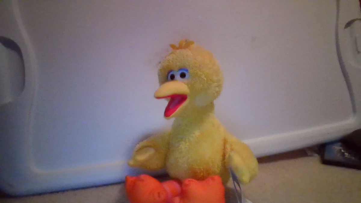 Big Bird | Dr Left Hand Wiki | Fandom