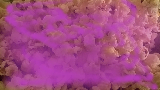 Lavender Popcorn | Dr Left Hand Wiki | Fandom