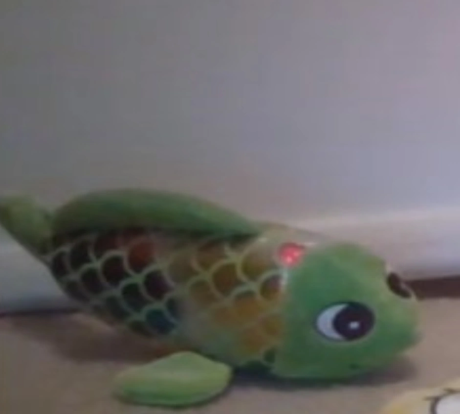 Fish | Dr Left Hand Wiki | Fandom