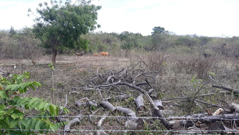 Sabana Grande de Palenque | DR Local Wiki | Fandom