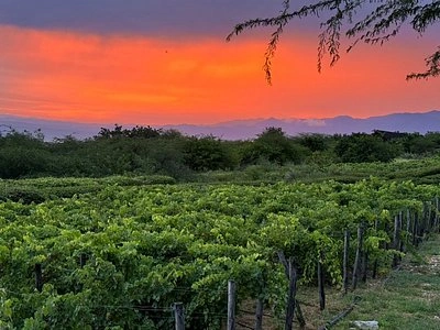 Las Charcas | DR Local Wiki | Fandom