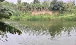 Arenoso | DR Local Wiki | Fandom