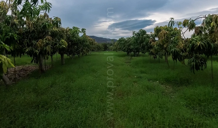 Matanzas | DR Local Wiki | Fandom