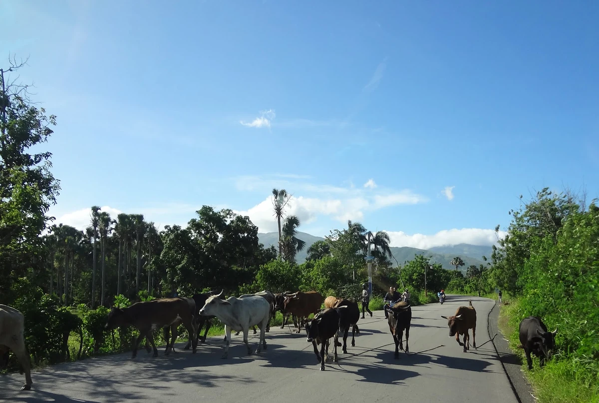 El Cercado | DR Local Wiki | Fandom